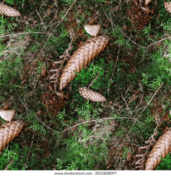 High Resolution Seamless Texture Forest Ground Stock Photo 2052808097 ...
