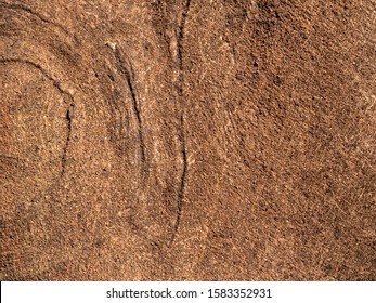 High Resolution Tree Bark Texture Seamless Stock Photo (Edit Now ...