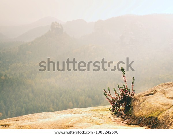 High Sharp Mountain Peaks Plane Beautiful Stock Photo 1085242598 ...