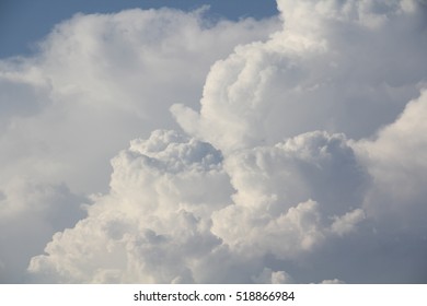 Highveld Images, Stock Photos & Vectors | Shutterstock