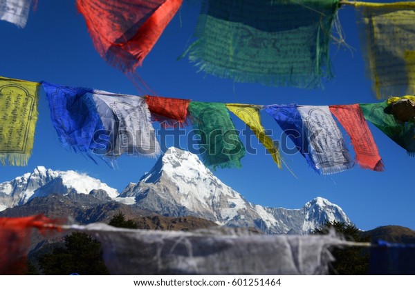 Himalayan Prayer Flags Stock Photo 601251464 | Shutterstock