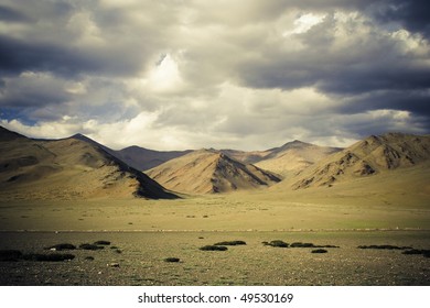 Stock Photo and Image Portfolio by Anna Vesna | Shutterstock