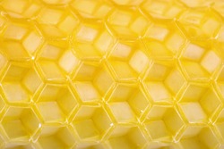 bee cells for gold honey, an Abstract Photo by AlexBush