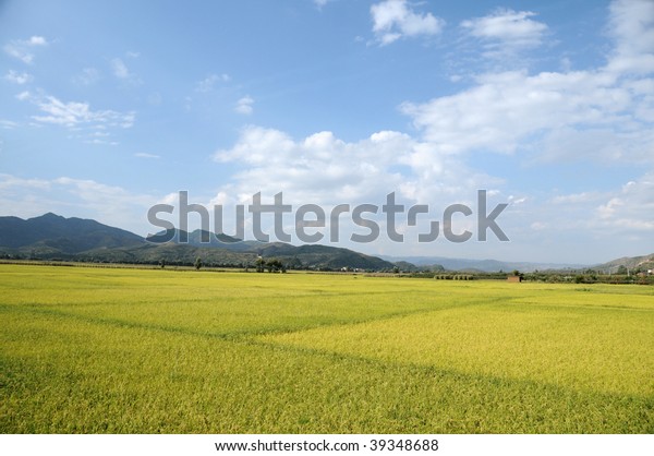Hope Fields Stock Photo 39348688 | Shutterstock