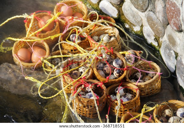 Hot Spring Egg Stock Photo 368718551 | Shutterstock