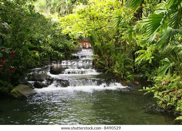 Hot Spring Fed Stream Provides Warm Stock Photo (Edit Now) 8490529