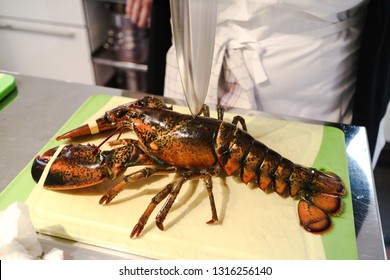How Quickly Kill Lobster Before Cooking Stock Photo 1316256140 ...
