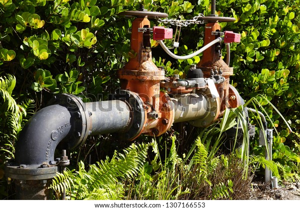 Huge Fire Hydrant Stock Photo 1307166553 | Shutterstock