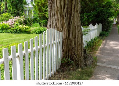 273 Fence Between 2 Houses Images, Stock Photos & Vectors | Shutterstock