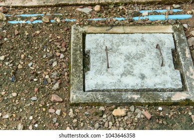 45 Blocked Drain Tree Roots Images, Stock Photos & Vectors | Shutterstock