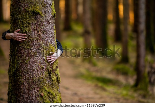 Hugging Tree Stock Photo (Edit Now) 115976239