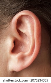 Auricles Images, Stock Photos & Vectors | Shutterstock
