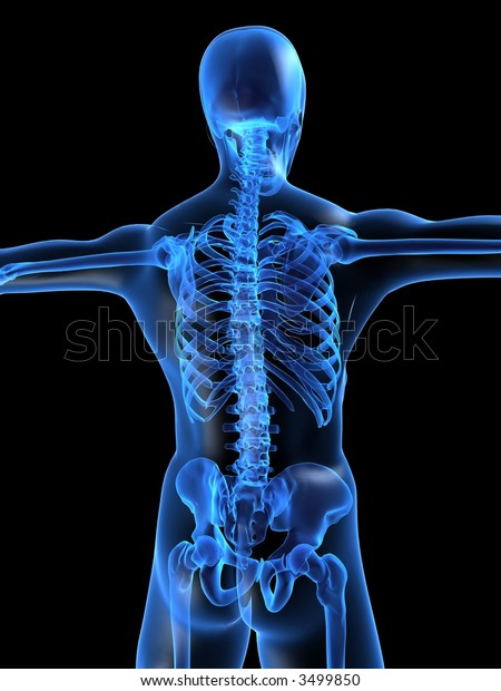 Human Back Stock Photo (Edit Now) 3499850