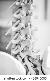 3,442 Chiropractor adjustment Images, Stock Photos & Vectors | Shutterstock