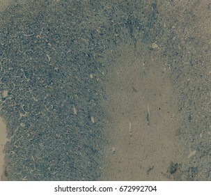 Human Body Cells Under Microscope库存照片672992704 | Shutterstock