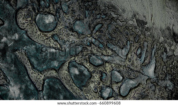 Human Body Cells Under Microscope Stock Photo 660899608 | Shutterstock