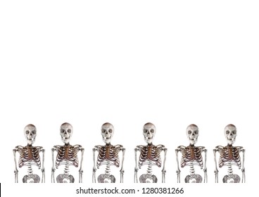 Human Bone Skeleton Background Stock Photo 1280381266 | Shutterstock