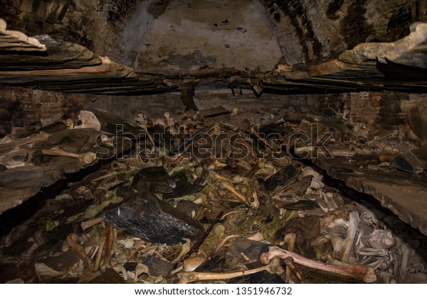 Human Bones Crypt Stock Photo 1351946732 | Shutterstock