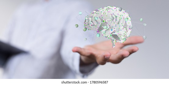 Human Brain Imagination Learning Mind Stock Photo 1780596587 | Shutterstock