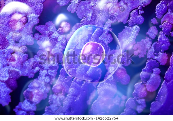 Human Cell Under Microscope Illustration Stock Photo 1426522754 ...