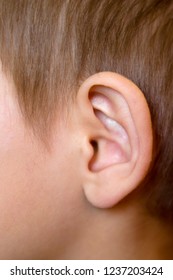 Human Ear Close Stock Photo (Edit Now) 1237203433