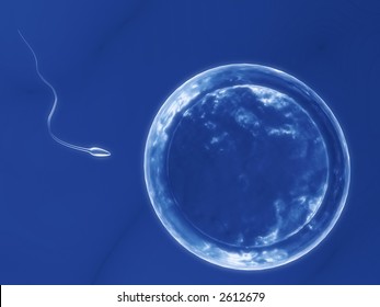 Human Egg Stock Photo 2612679 | Shutterstock