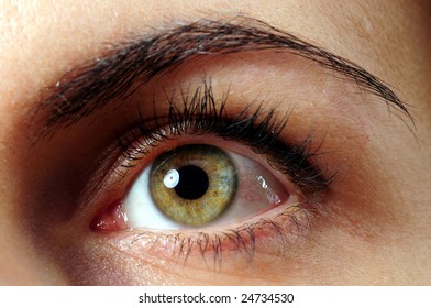 Human Eye Stock Photo 24734530 | Shutterstock