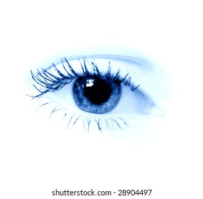 Human Eye Stock Photo 28904497 | Shutterstock