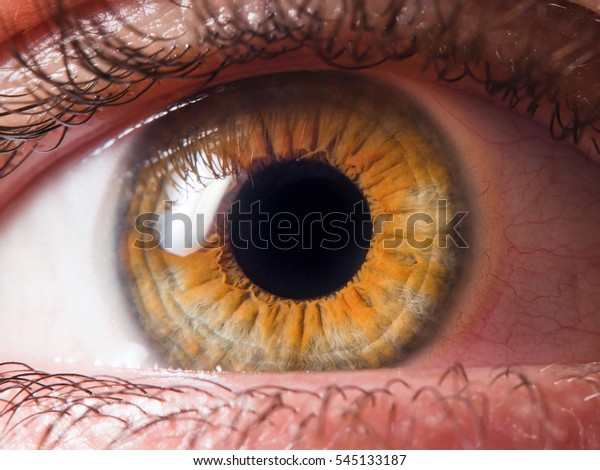 Human Eye Close Stock Photo 545133187 | Shutterstock