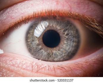 Detalhe de close-up do olho humano Foto stock 521438170 | Shutterstock