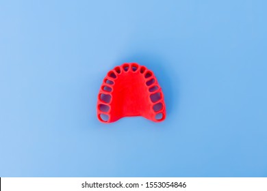 Human Gums Without Teeth Model Medical Stock Photo (Edit Now) 1553054846