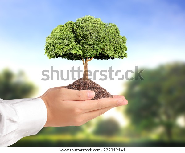 Human Hands Holding Tree Stock Photo 222919141 | Shutterstock