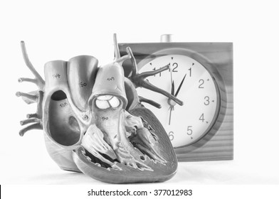 Human Heart Model Clock Black White Stock Photo 376425226 | Shutterstock