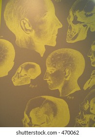 Human Poster Stock Photo 470062 | Shutterstock