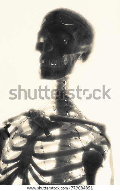 Стоковая фотография 779084851: Human Skeleton Bones Rays Light Artistic ...