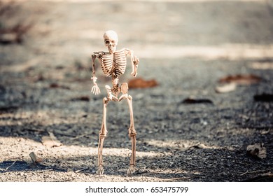 Human Skeleton Forest Background Stock Photo 653475799 | Shutterstock