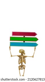 Human Skeleton Pointers Isolation On White Stock Photo 2120627813 ...