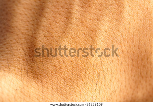 Human Skin Texture Stock Photo 56529109 | Shutterstock