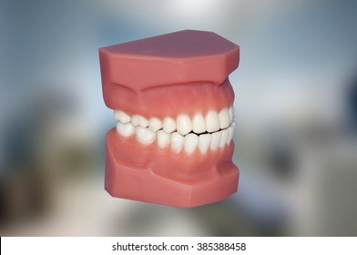Human Teeth Model Stock Photo 385388458 | Shutterstock