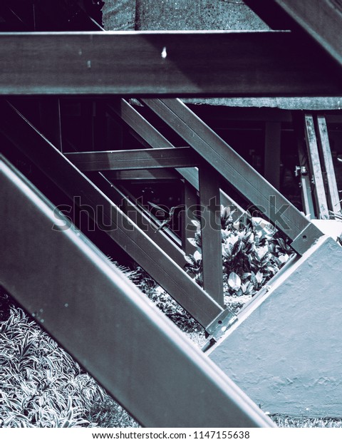 Humming Bird Caught Between Triangle Structures Stock Photo 1147155638 ...