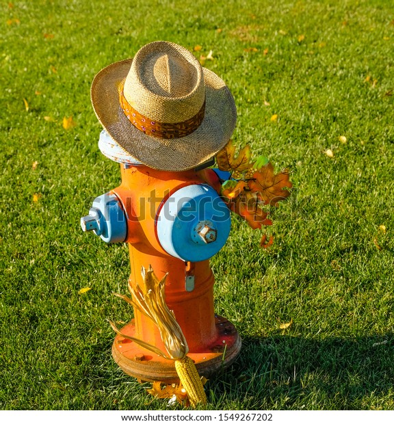 Humorous View Fire Hydrant Dressed Old Stock Photo 1549267202 ...