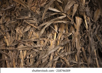 Husk Maizebackground Texture Corn Stock Photo 218746309 | Shutterstock