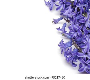 4,575 Hyacinth border Images, Stock Photos & Vectors | Shutterstock