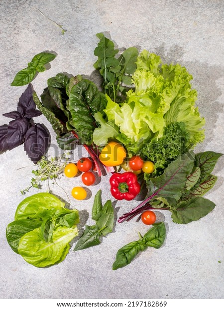 Hydroponic Vertical Farming Stack Module System Stock Photo 2197182869 ...
