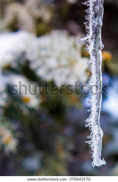 Ice Sickle Stock Photo 370643576 | Shutterstock