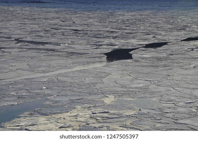 Ice Water Solid Aggregate State Ice Stock Photo 1247505397 | Shutterstock