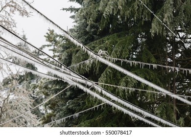 814 Ice storm power lines Images, Stock Photos & Vectors | Shutterstock
