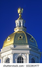 Webster Capital Logo