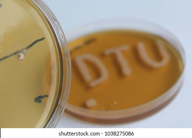 DTU Logo Vector (.EPS) Free Download