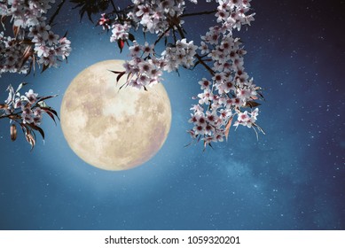 Cherry Moon 2K wallpaper download